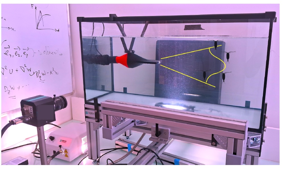 Offre de Stage M2 (2025-2026) : uml